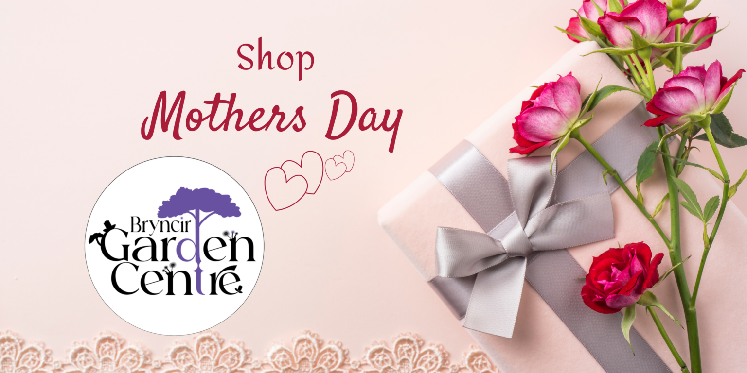 Bryncir Garden Centre